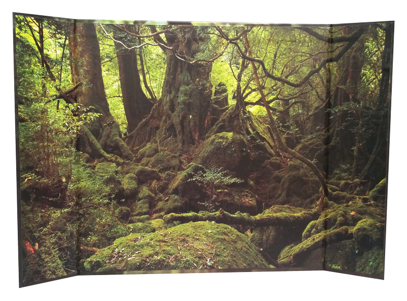 Rainforest Diorama Background