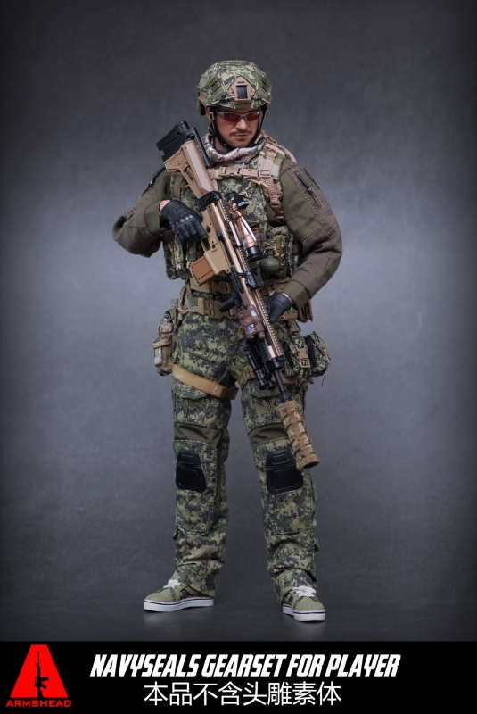 Navy Seal Aor2 Loadout